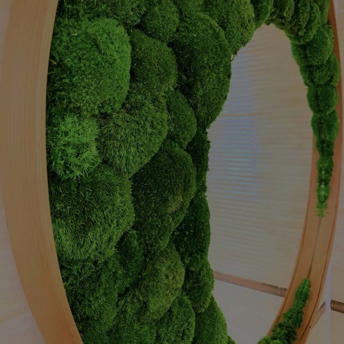 🍀 Moha képek és moha falak gyártása | Ekomoss