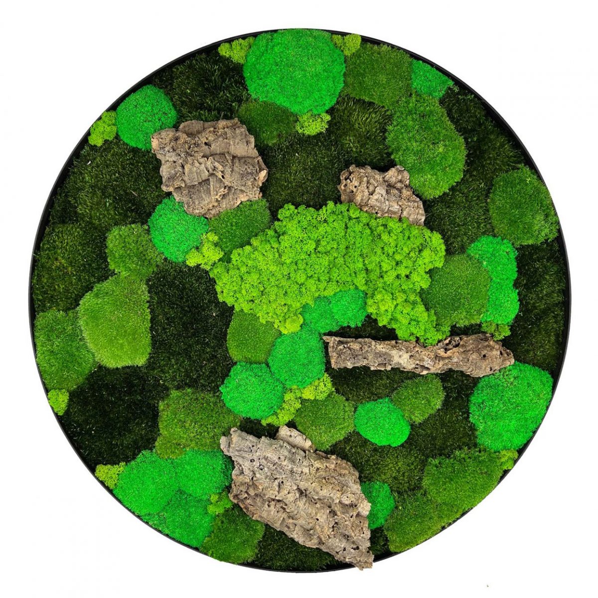 🍀 Moha Képek és Moha Falak gyártása | Ekomoss